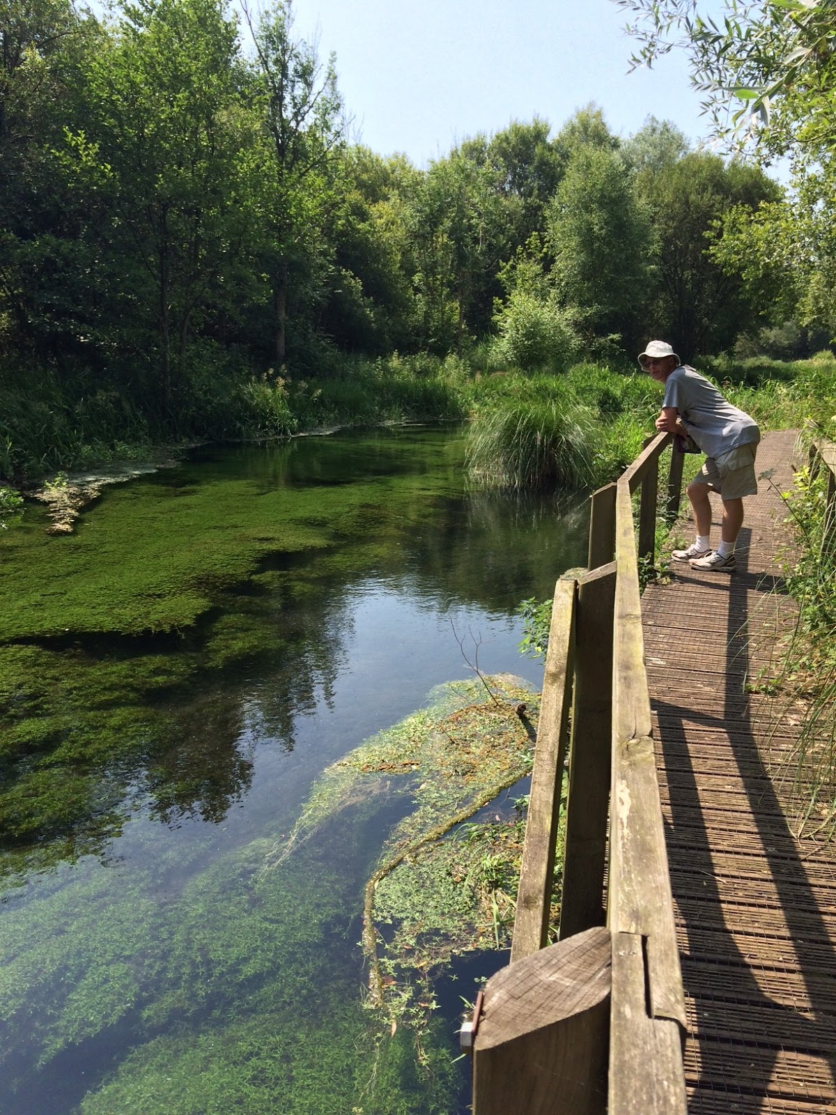3 Castles Path Ramblings: Greywell to Ellisfield