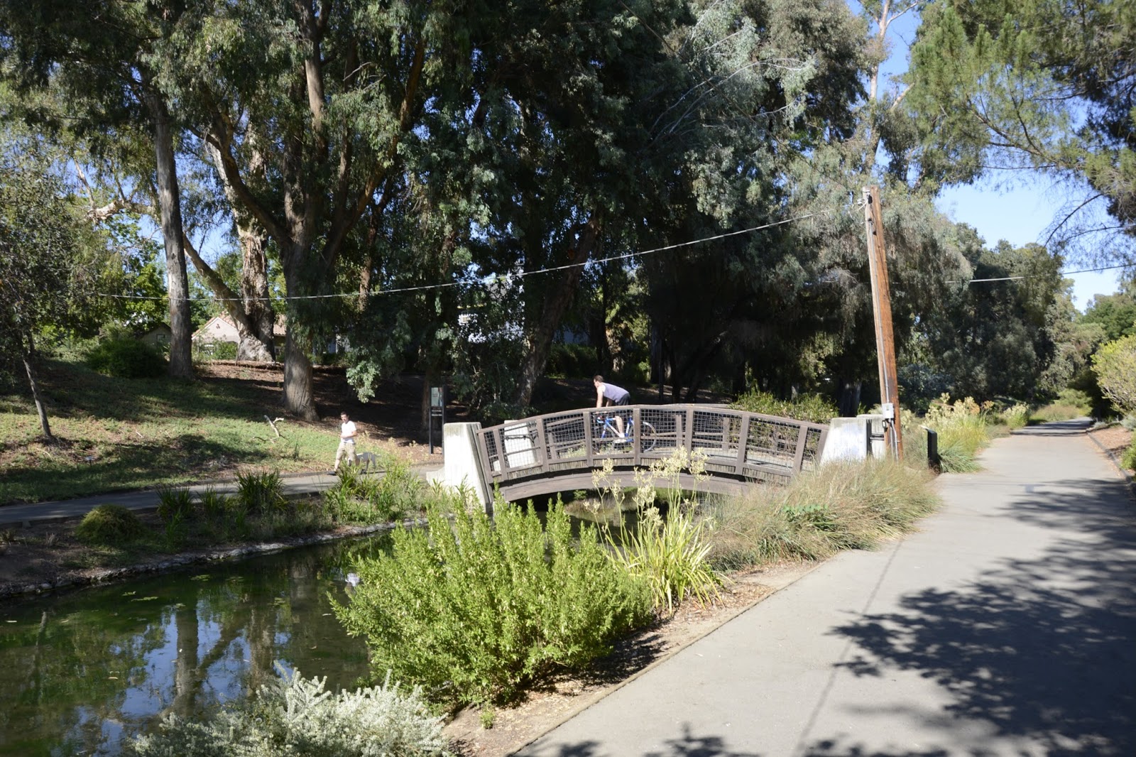 Bridge of the Week: Yolo County, California Bridges: UC Davis ...