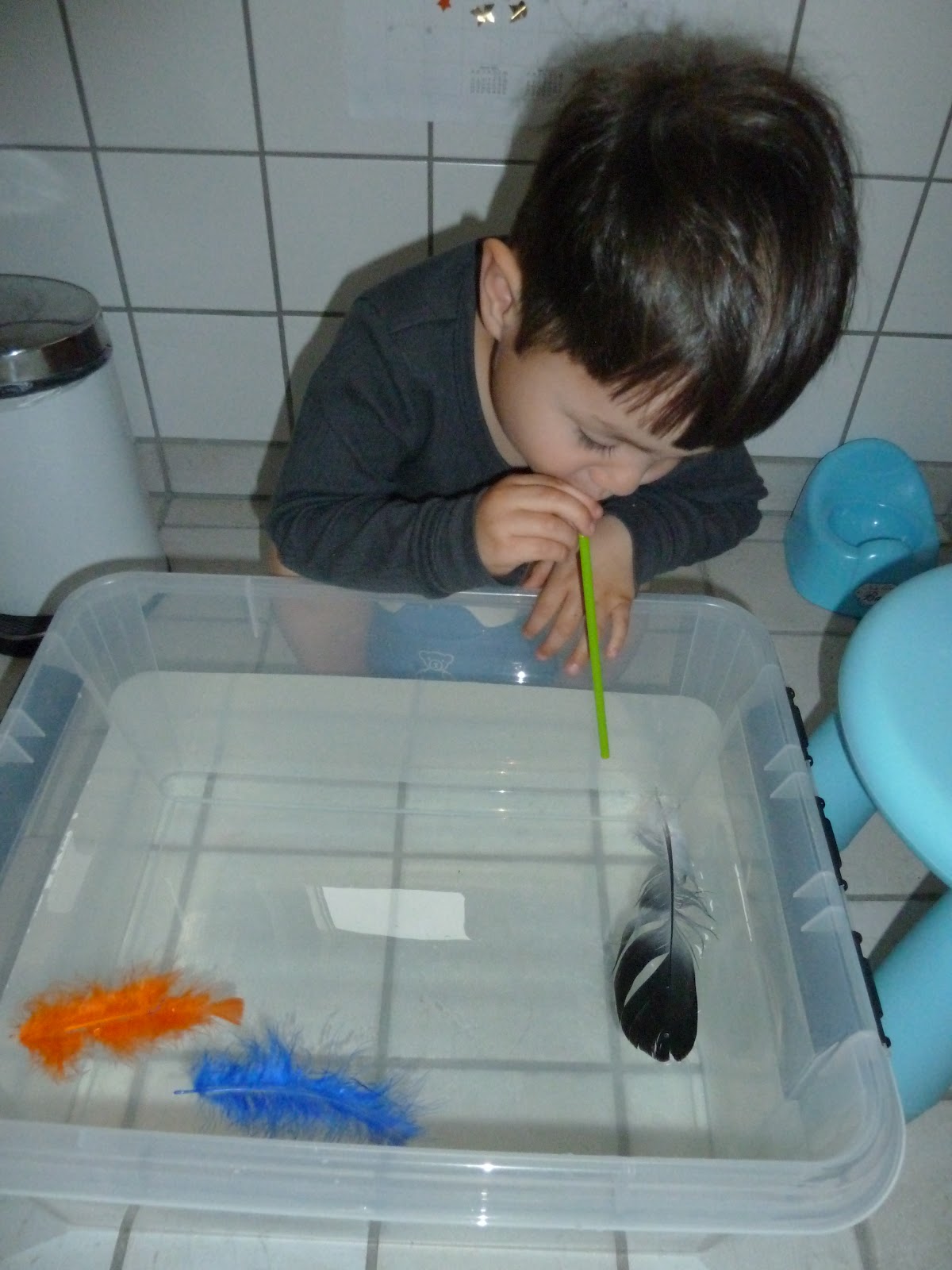 Family FECS: Montessori Activity: Blowing Feathers with Straws