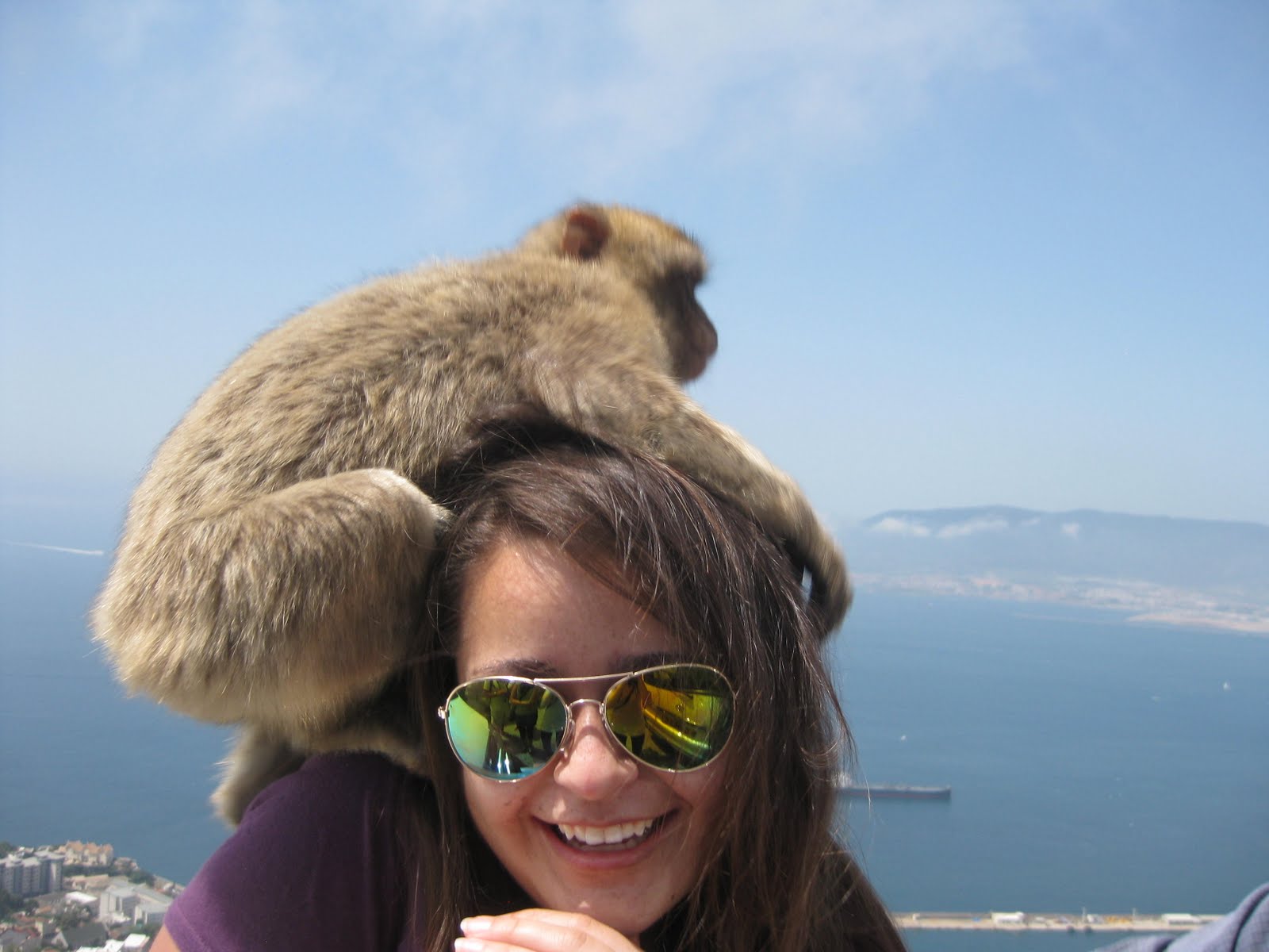 Semester in Spain: The Monkey on Your Back is the Latest Trend