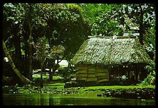 Anthro-pology logically learning people's biology: Fa'asamoa-The Samoan Way