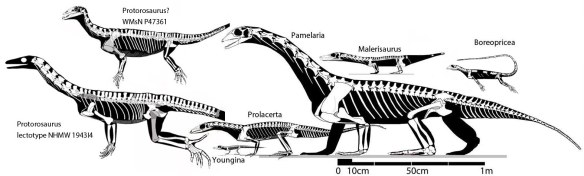 The Pondering Gulch: Et Tunc Nulla Erat VI