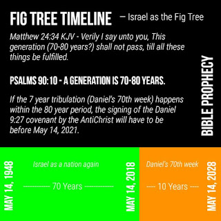 Fig Tree Generation