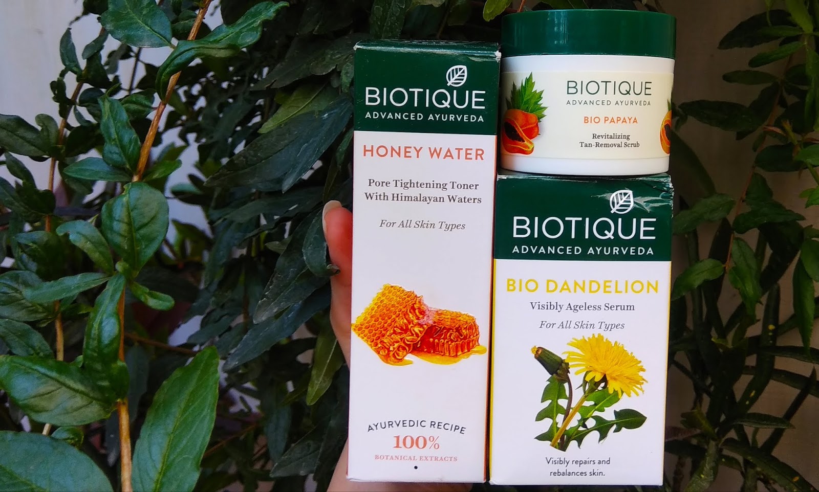 Biotique Products - Biotique Bio Fruit and Bio Clove Face Pack