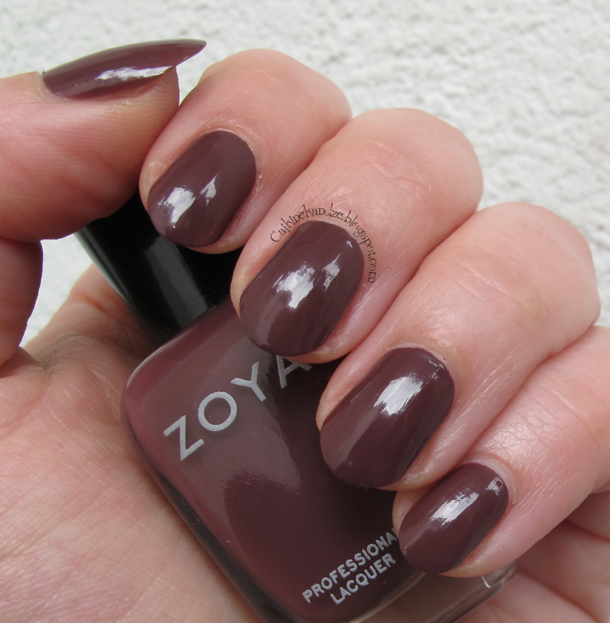 Zoya Marney | Cajkine kandže i sve njihove boje