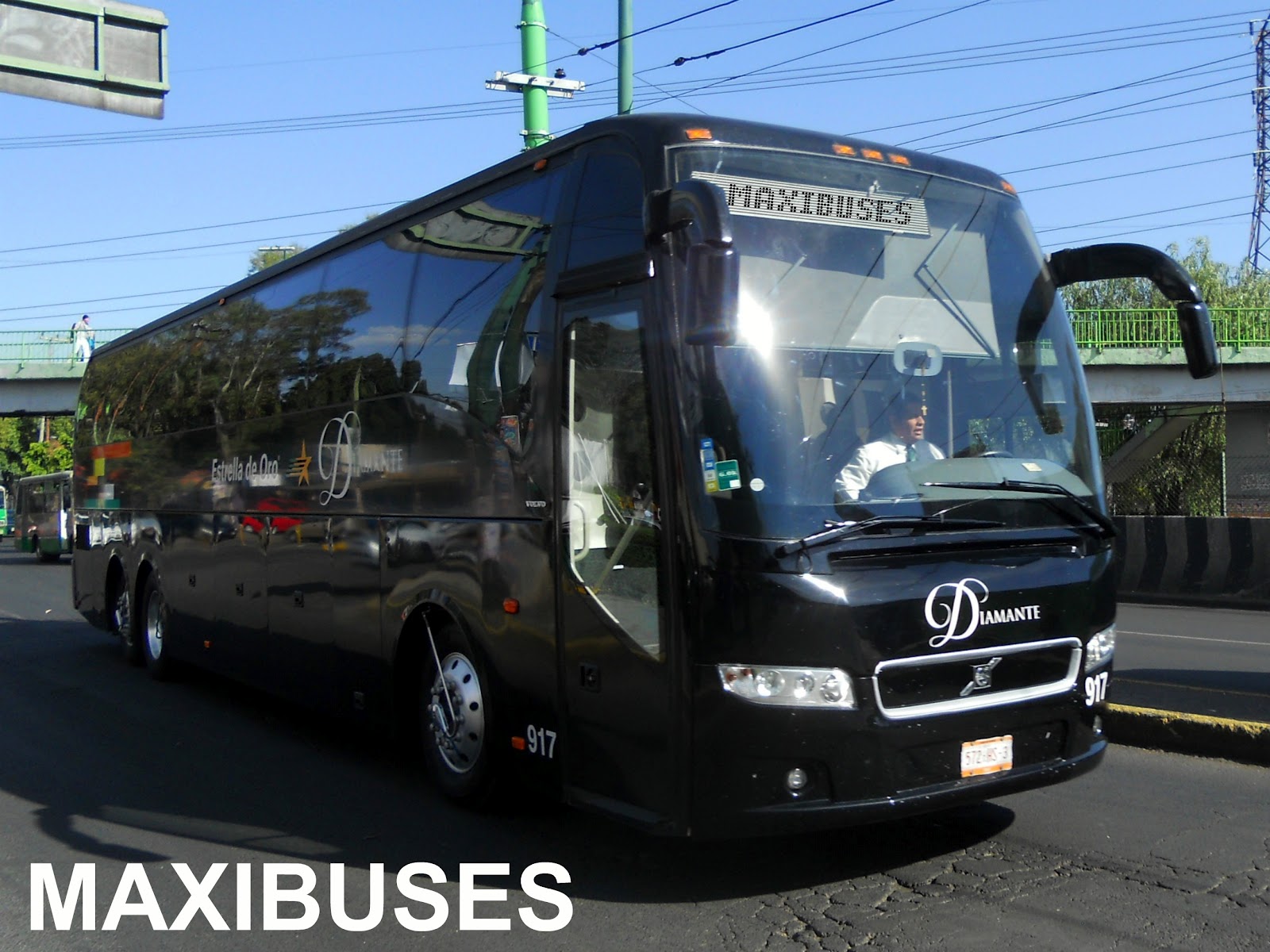 MAXIBUSES: ESTRELLA DE ORO DIAMANTE