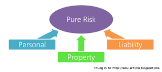 TYPES OF PURE RISKS - Gary J's EDU