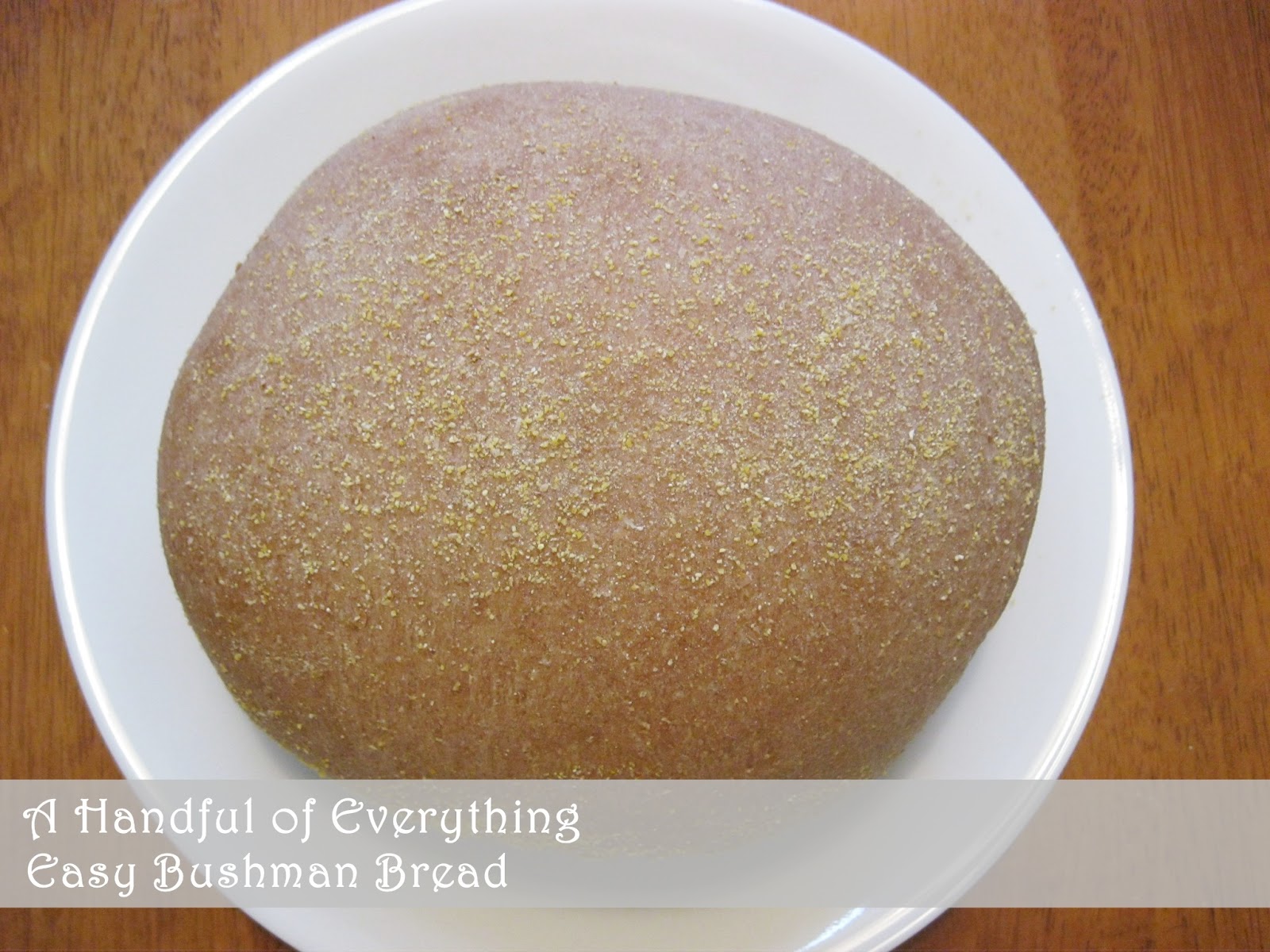 Easy Bushman Bread