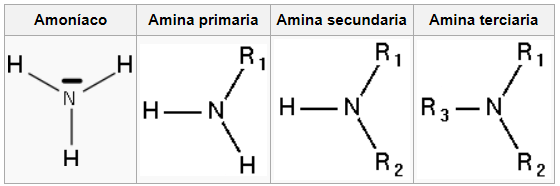 quimica organica UAMI: AMINAS