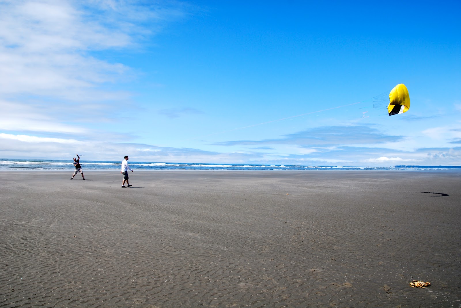 Wanderlust Traveler: Pacific Beach, Washington (Lodging, Dining, and ...