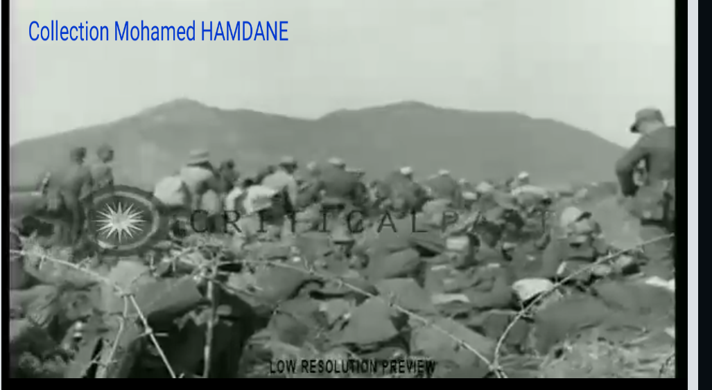 CULTURE et PATRIMOINE DE TUNISIE EN IMAGES- MOHAMED HAMDANE-ثقافة وتراث ...