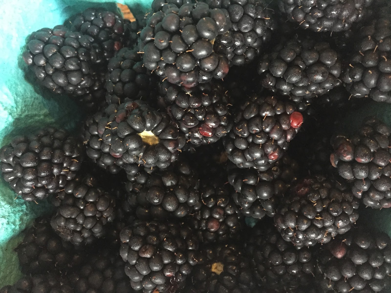 Team Rubus: Red drupelet disorder