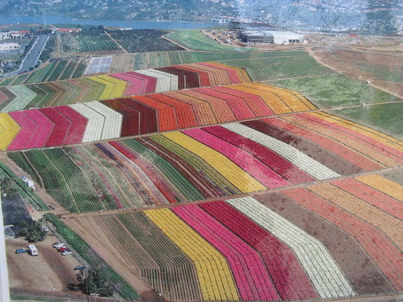 A Cornish studio: abstract field patterns