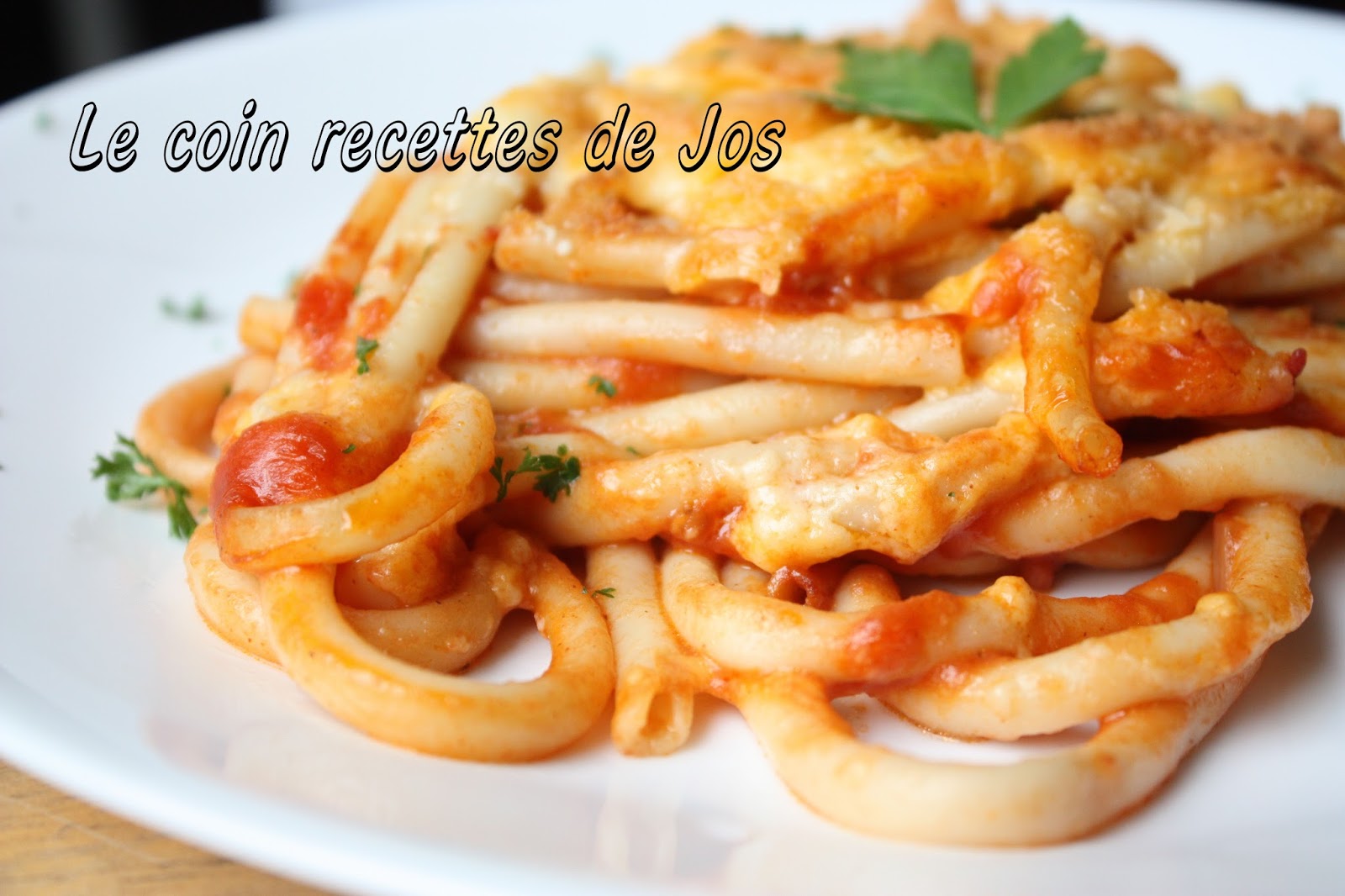 Le coin recettes de Jos: MACARONI LONG AUX TOMATES GRATINÉ