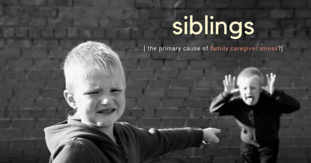 National Association to Stop Guardian Abuse: Siblings – The Primary ...