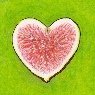 The Rainforest Garden: Why I Love Figs