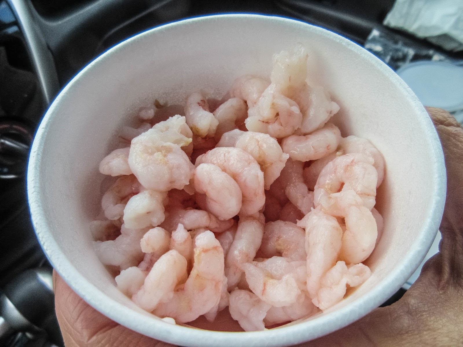 Cannundrums: Oregon Coast Seafood