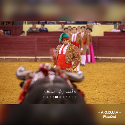 O que deve saber sobre os forcados!!!!!