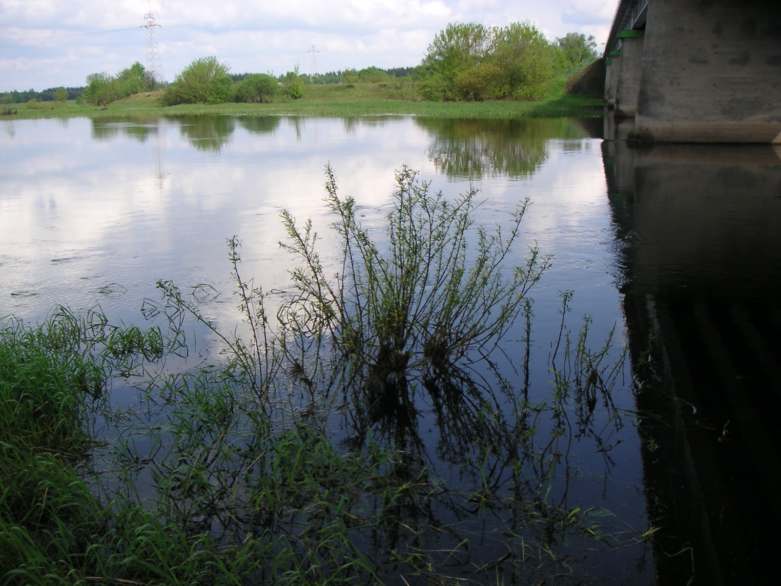 Foto- podróże po Polsce i Europie czyli tam, gdzie nie byłeś: Bagna ...