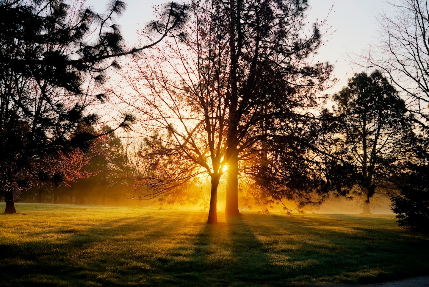 Service, Life, and Missions: Elder Christopher K Saunders