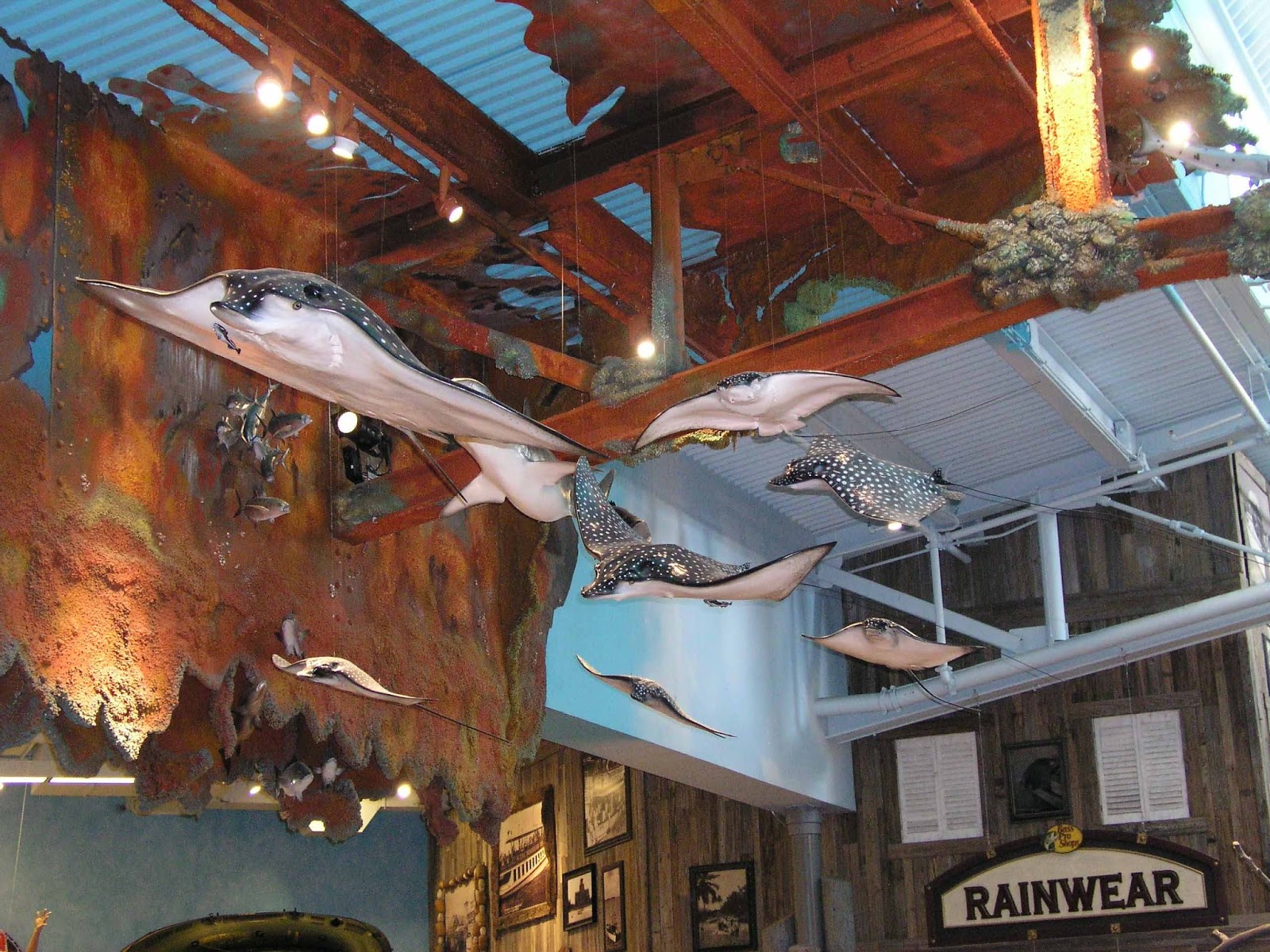 Little Kumquat: Bass Pro Shop in Miami: A Cool Store!