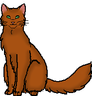 Bugs Blog: Leader Warrior Cats