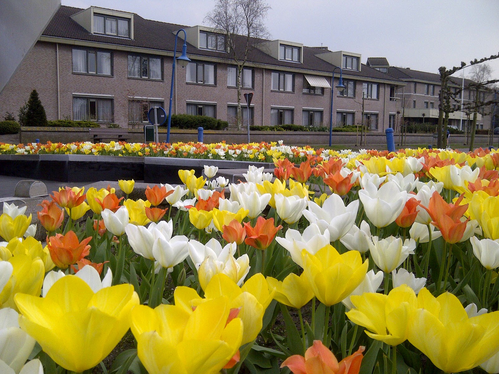 St. Mary Huijbergen: Ste Marie, The Brothers House