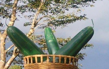 Exploring the beauty of Kapangan