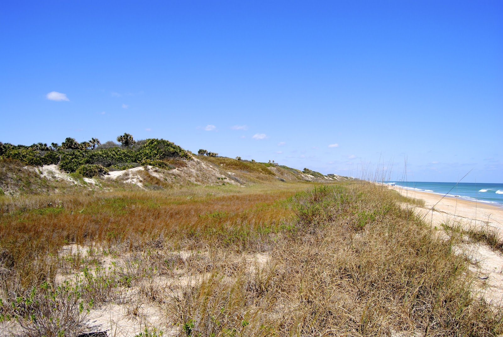 Ecology of Appalachia: Guana Tolomato Matanzas National Estuarine ...