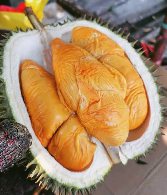 Berkeley Durian 夢中情人 @ Berkeley, Klang