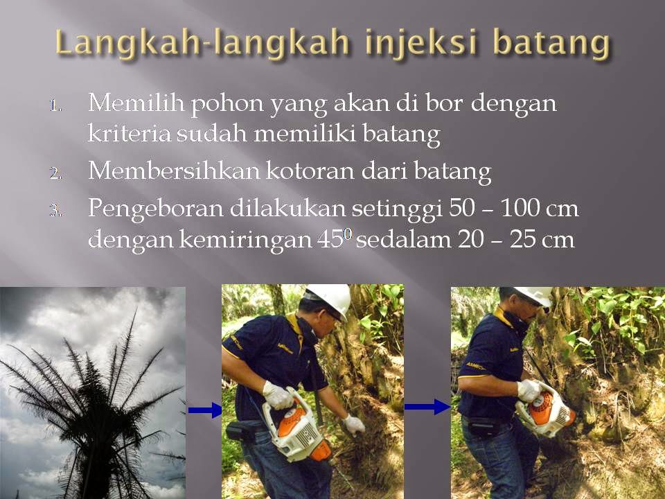 PANDUAN PENGENDALIAN ORGANISME PENGGANGGU TANAMAN (OPT) KELAPA SAWIT ...