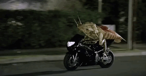 Mercenary Garage : Roach