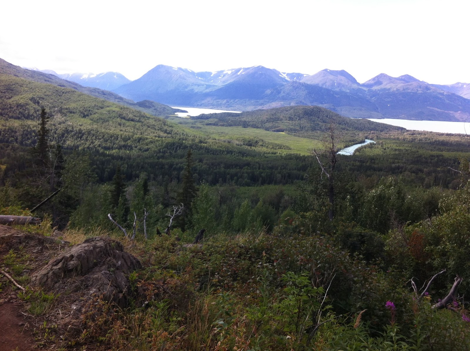 Life in Alaska — A View From Homer: Skyline-Bear Mountain-Hideout Trail ...