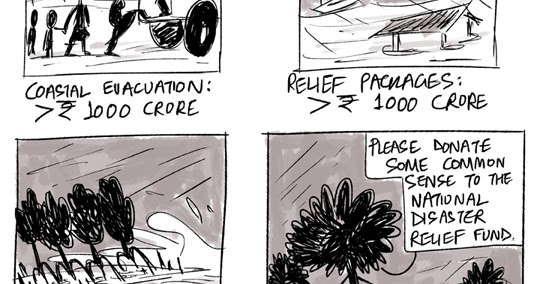 Green Humour: Cyclone Management and Mangroves