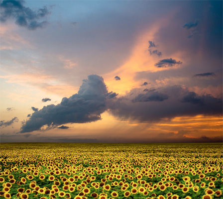 Some of Our Favorite Images for Summer - Clipart Blog