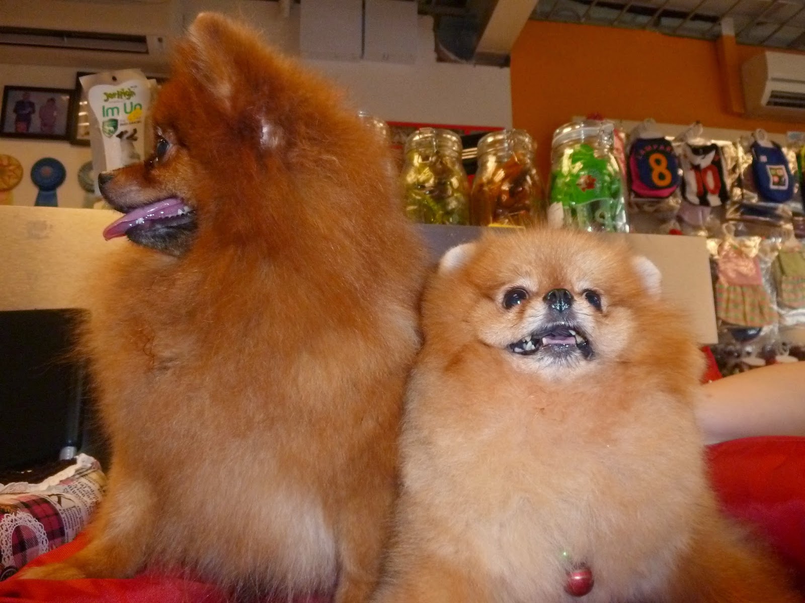 Kee Hua Chee Live!: POM'S WORLD AT JALAN KLANG LAMA SELLS BEST ...
