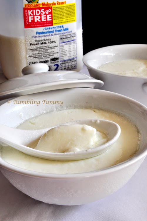 Rumbling Tummy: Steam milk 燉奶
