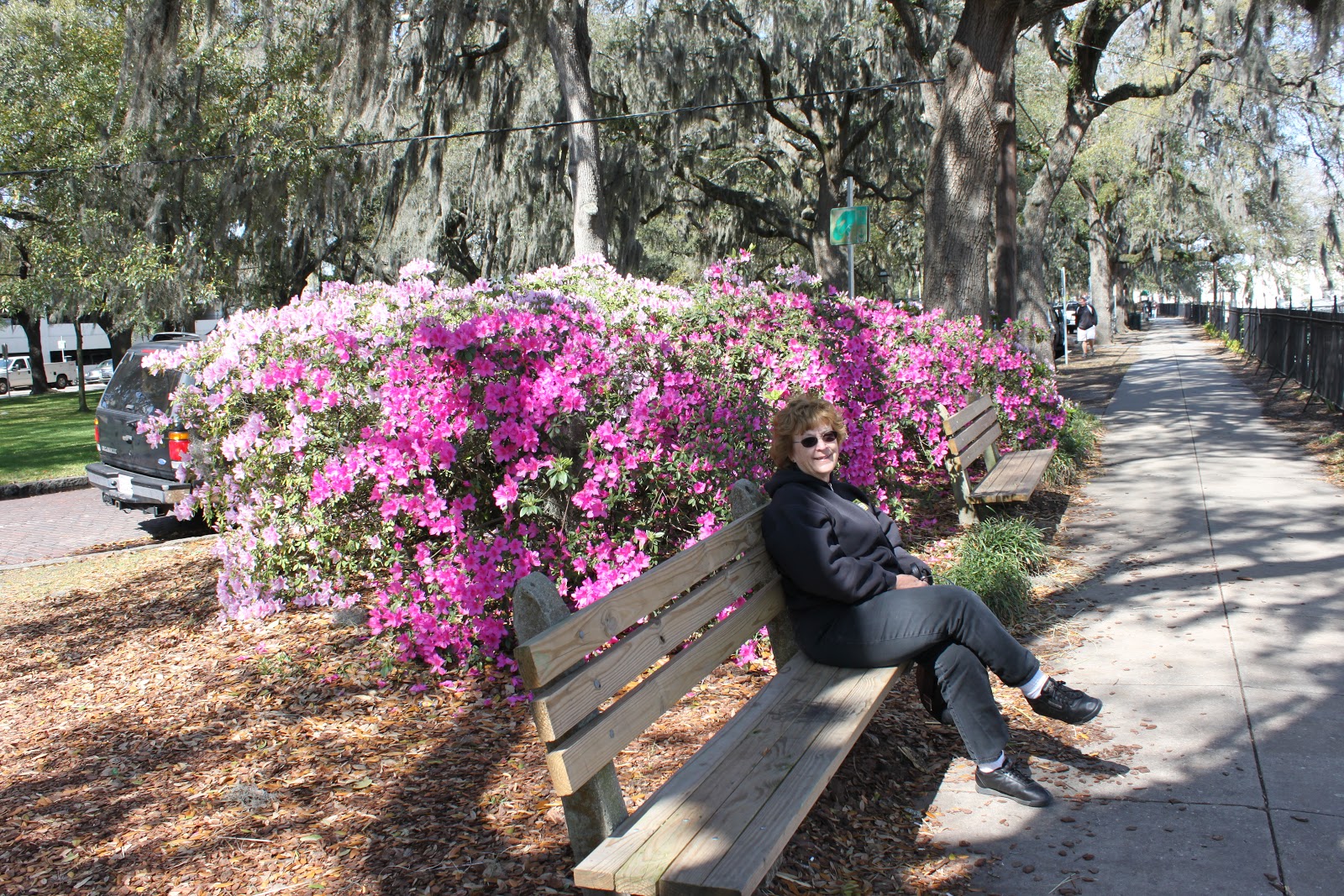 Southern Exposure Tour