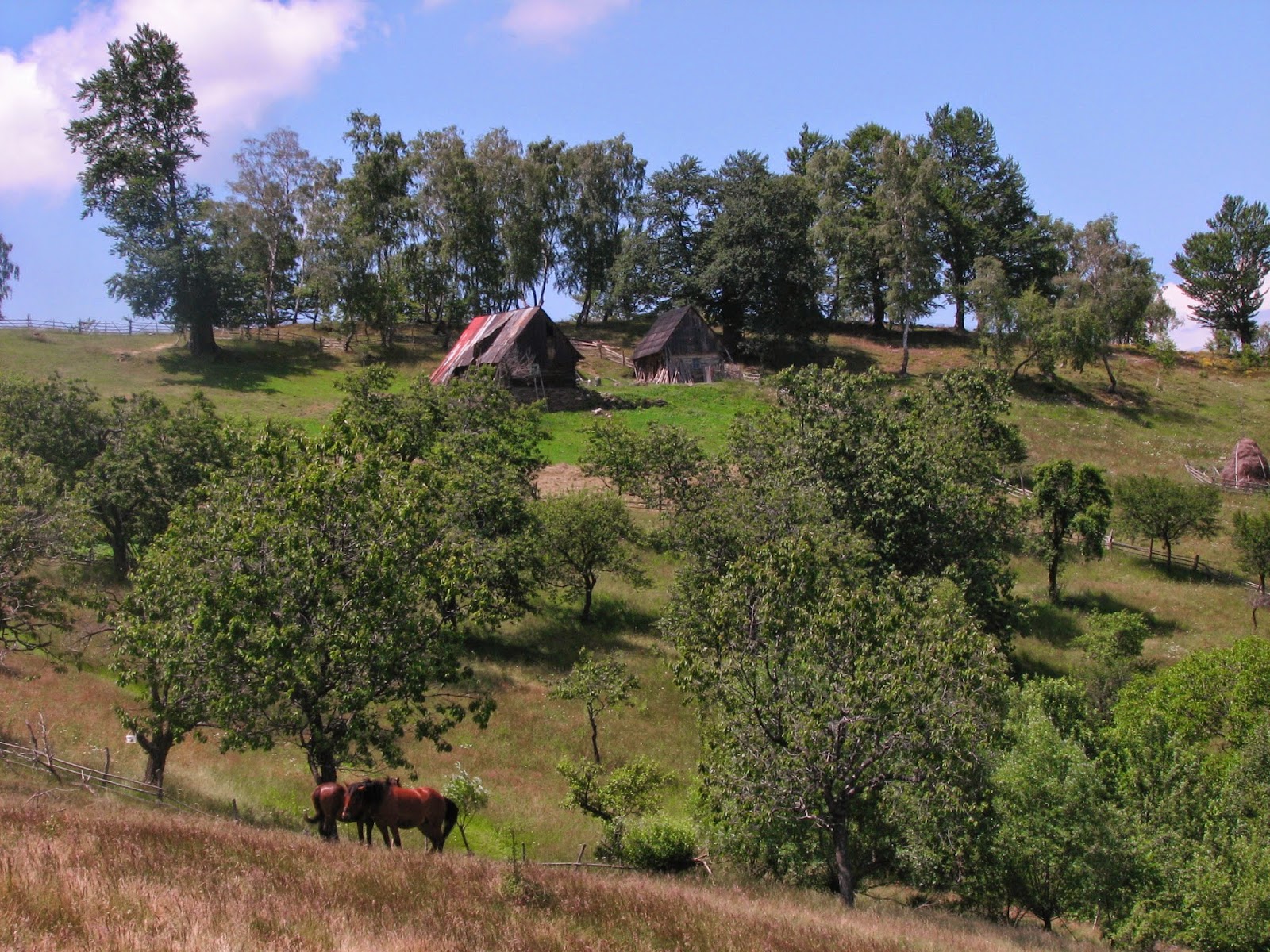 Radu Crâsnic - Generozitatea munților
