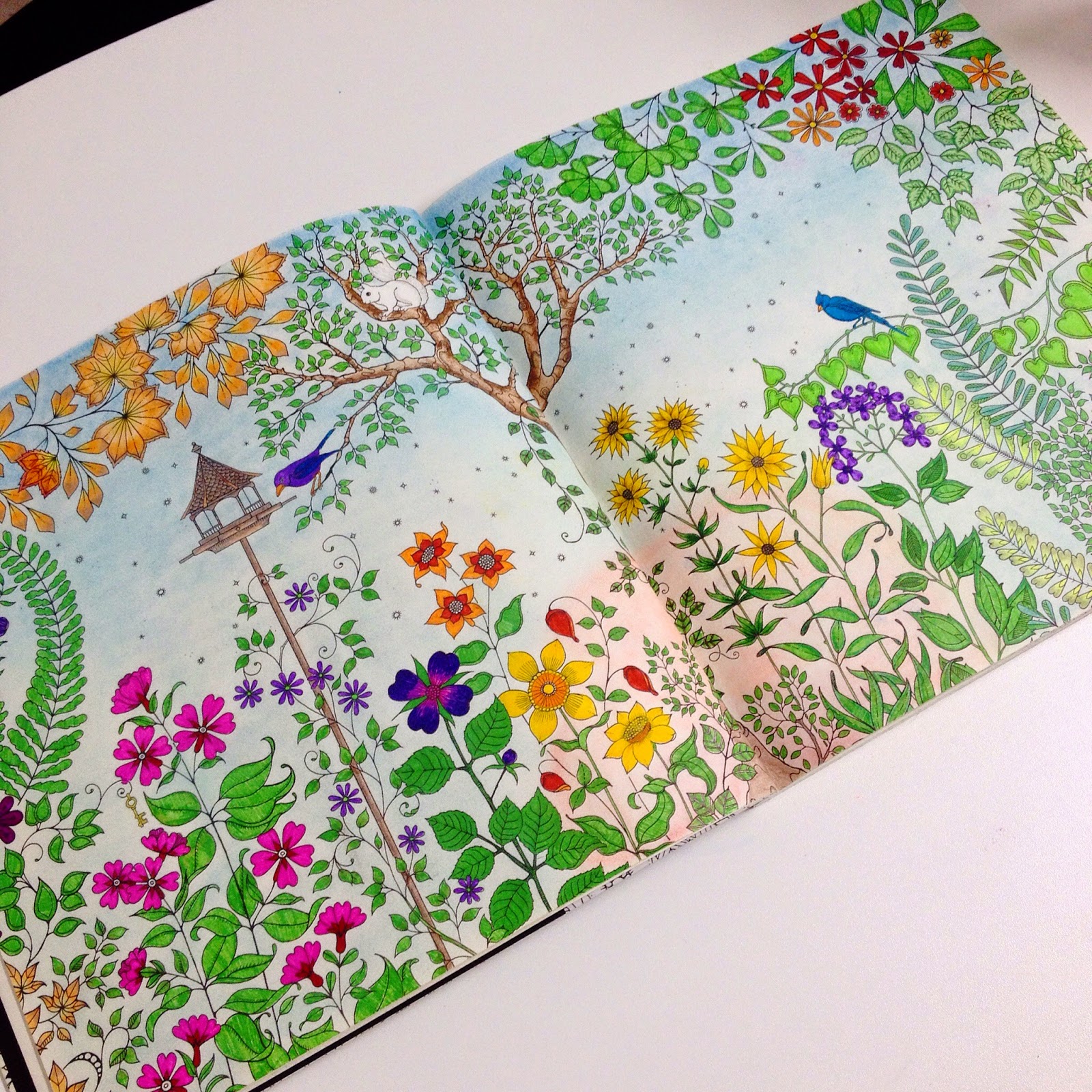 Luana Capelletti: Livro de colorir: Jardim Secreto/ Secret Garden