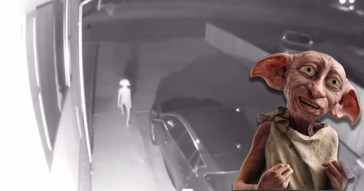 This Dobby The House Elf-Looking Thing Ruined My Night