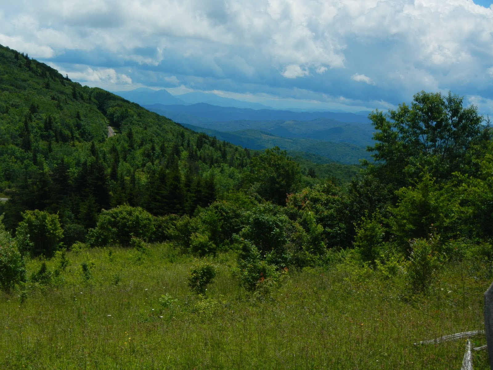 Oh To Be Hiking!: Are the Grayson Highlands Fabulous? Roger That!
