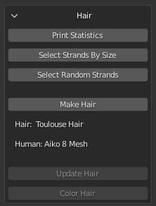 Diffeomorphic: Hair Section