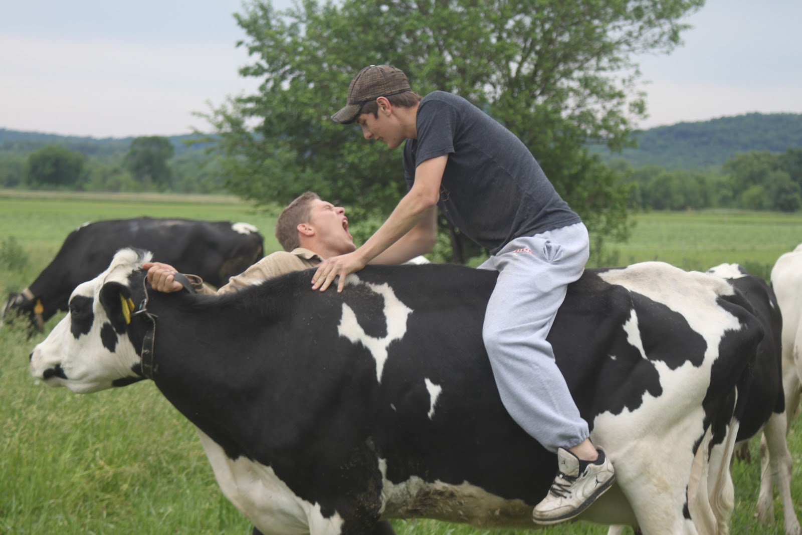 WIFarmChick: Cow Riding