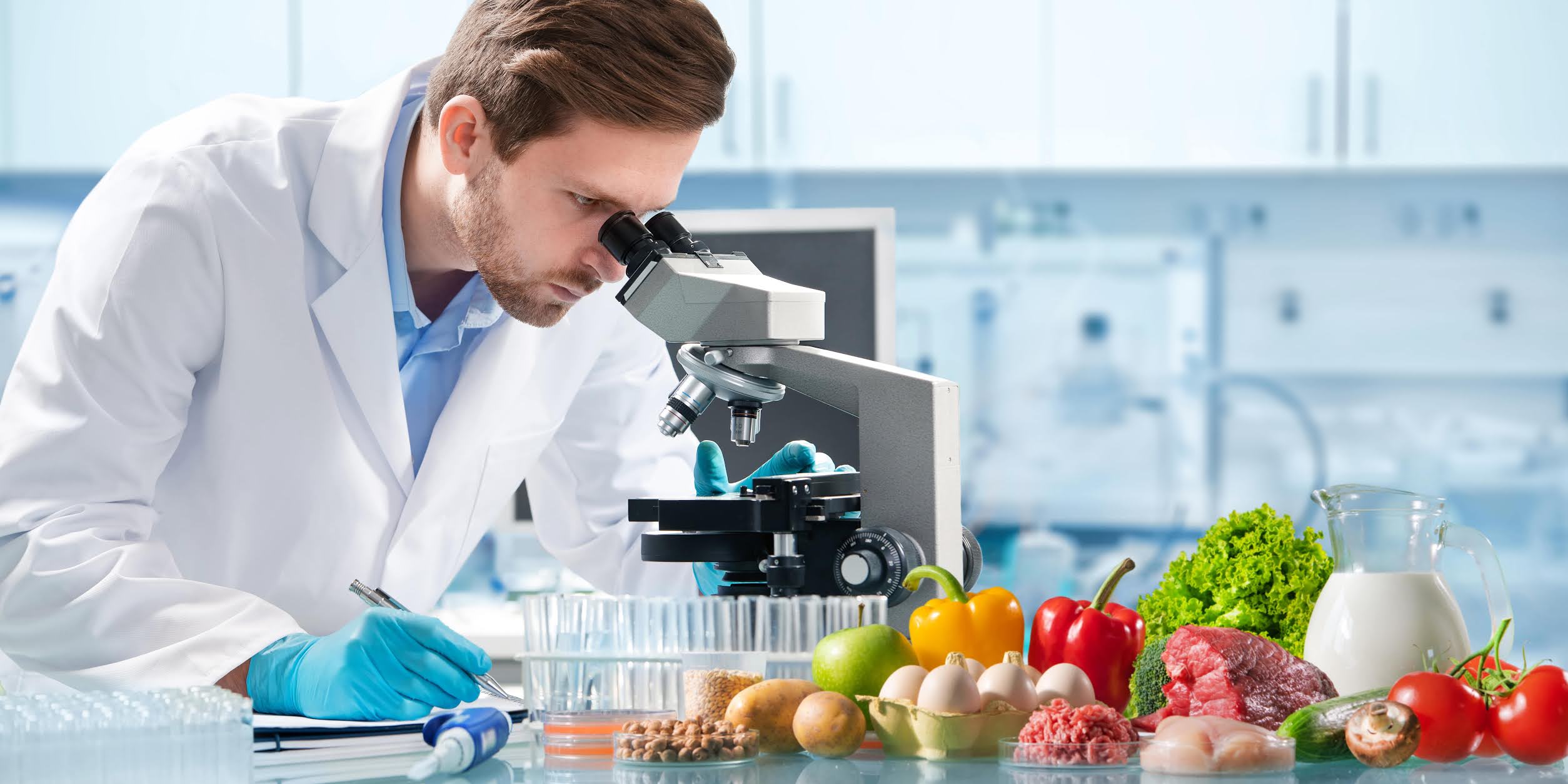 MICROBIOLOGÍA ALIMENTARIA Y ENFERMEDADES TRANSMITIDAS POR LOS ALIMENTOS