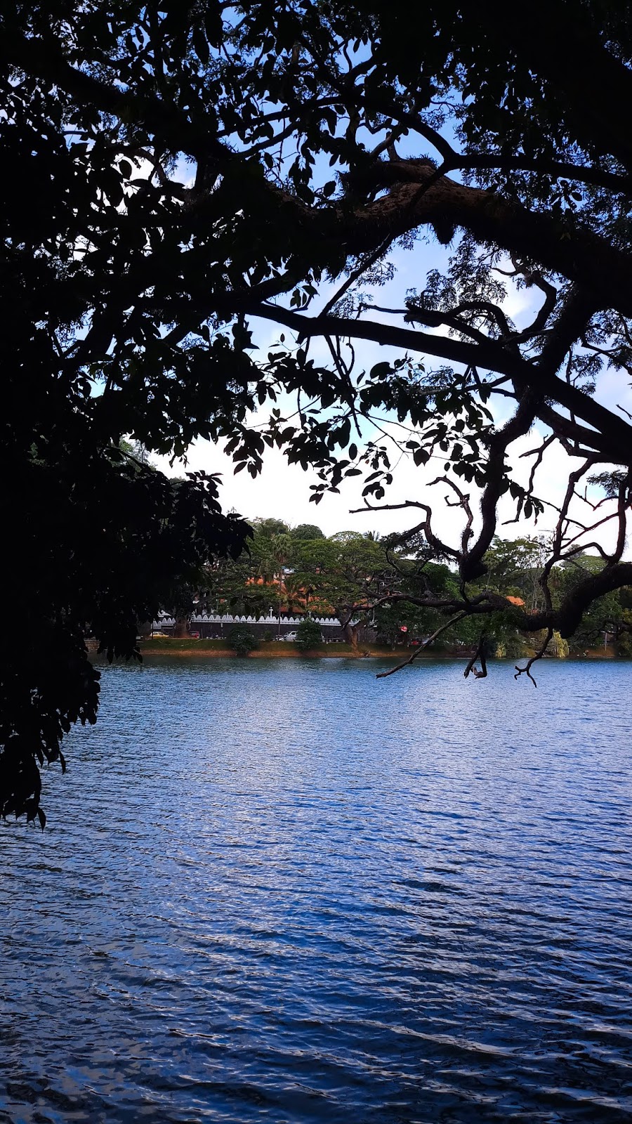 Kiri Muhuda /The Milky Sea