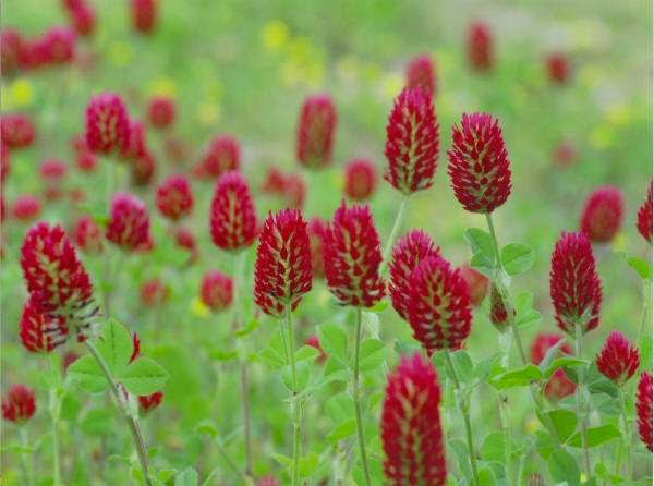 (DOC) Nu Trebuie Să Schimbăm Lumea - DOKUMEN.TIPS