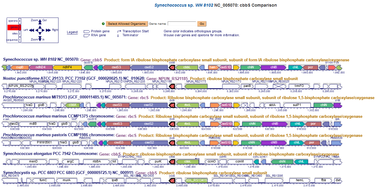 Biocyc And Pathway Tools Blog