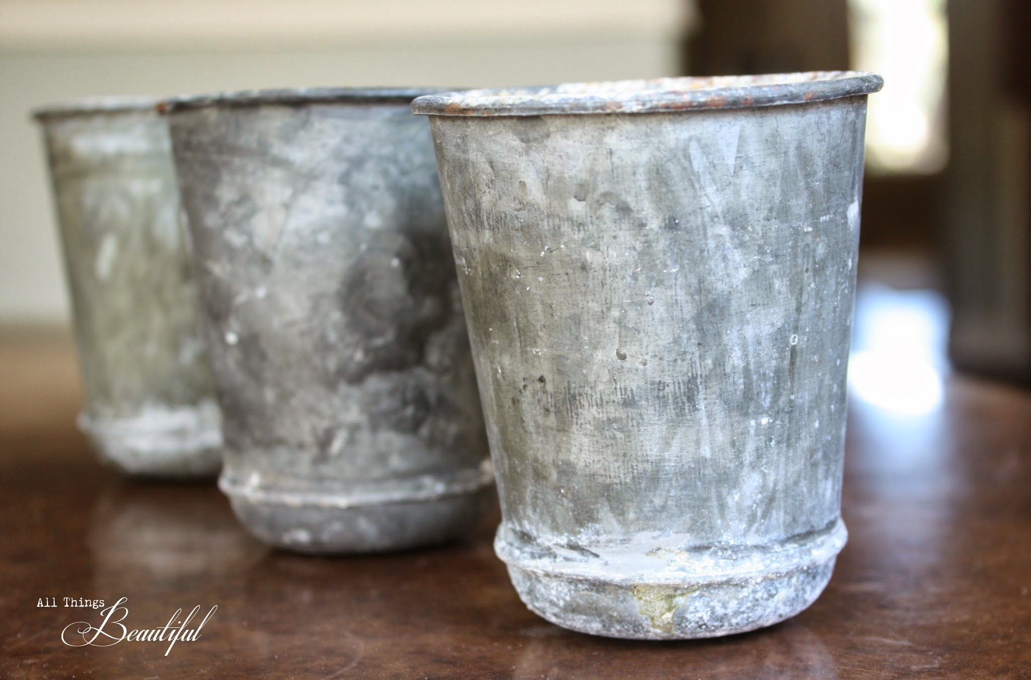 All Things Beautiful: DIY Moss Zinc Pots