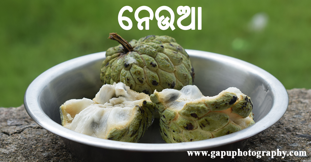 Neua (ନେଉଆ) or Custard Apple